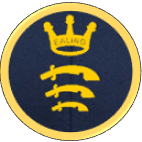 Ealing Borough Cricket